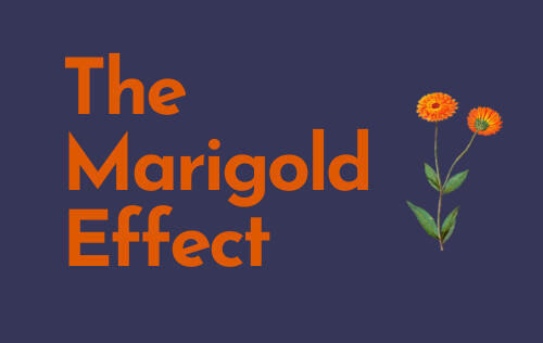 The Marigold Effect